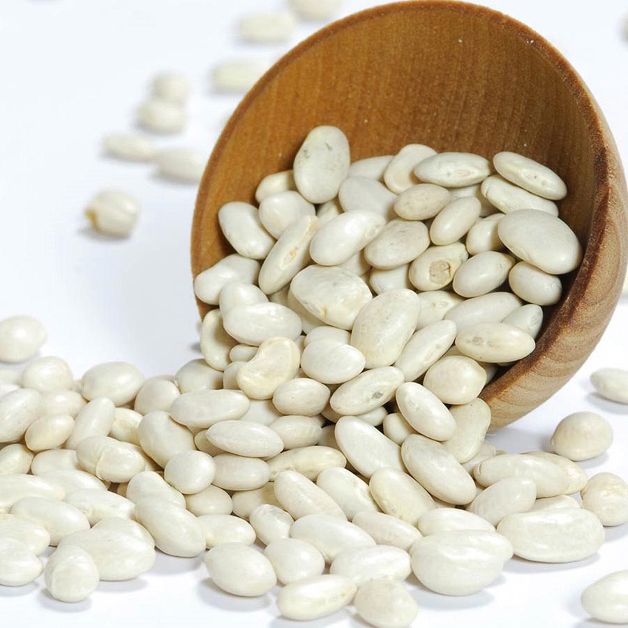 Great Northern Beans – NewMarket Natural Foods + Kitchen